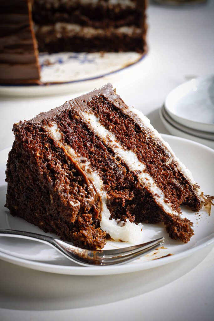 Chocolate Coconut Cake - PastrybySaloni