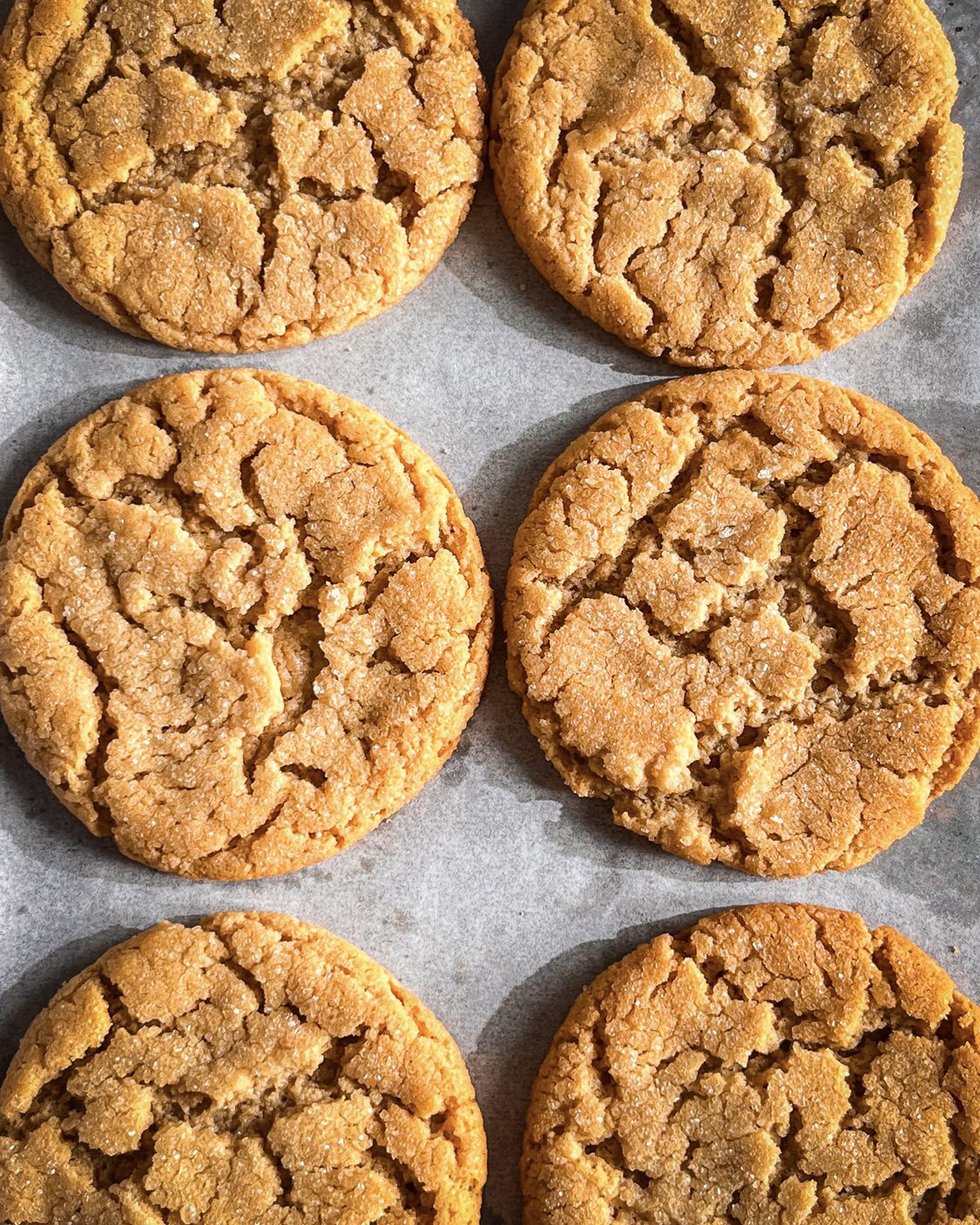 Chewy Peanut Butter Cookies - PastrybySaloni